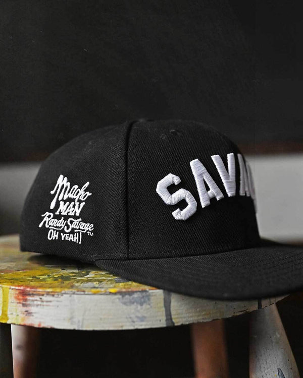 Randy Savage - Roots of Fight